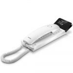 ¿Qué es la pared y Cuál es su Función? 2024